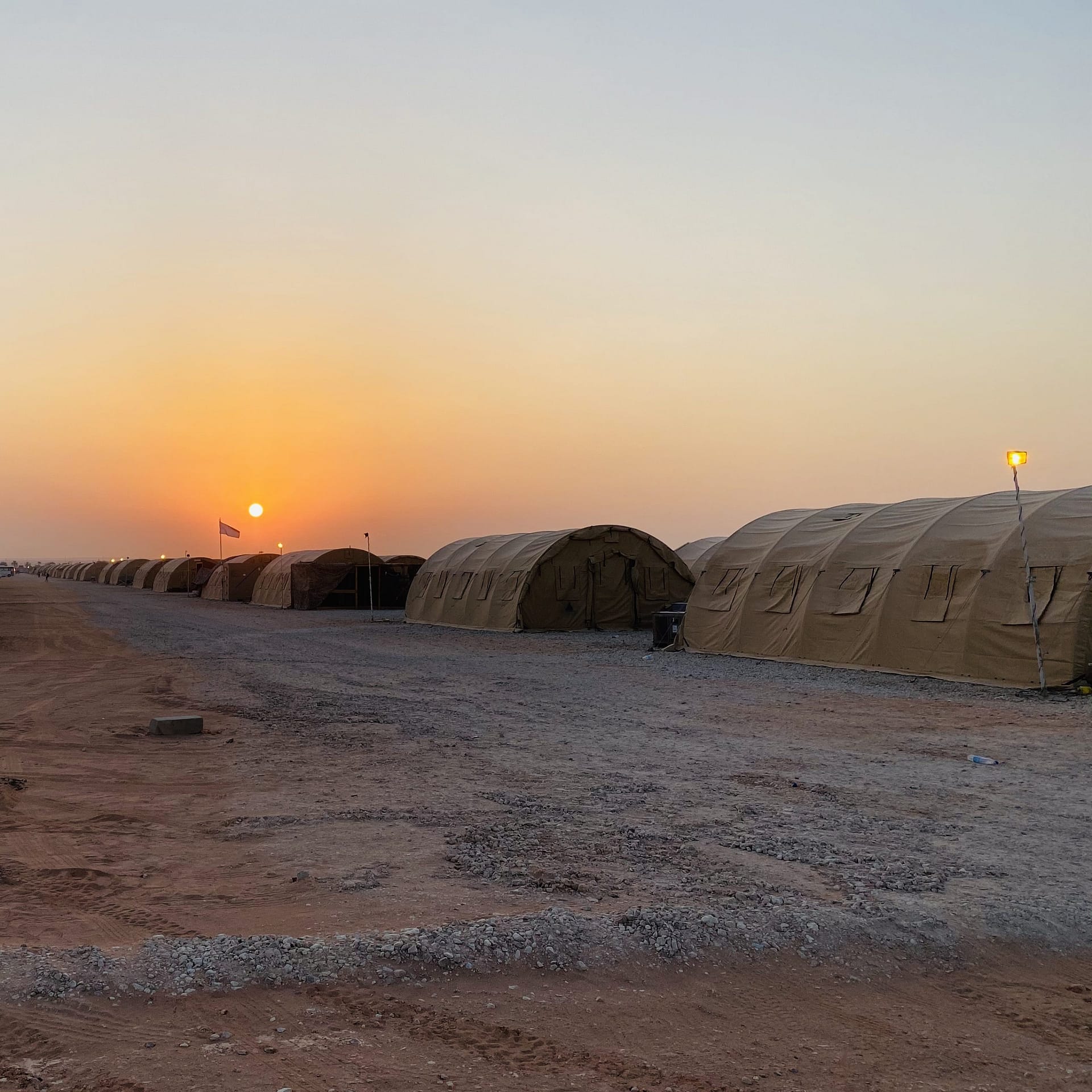 Plant-Based Military Deployment Begins - Plants in the Sandbox