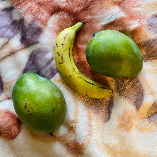 Fresh Produce at the Deployment DFAC - Plants in the Sandbox